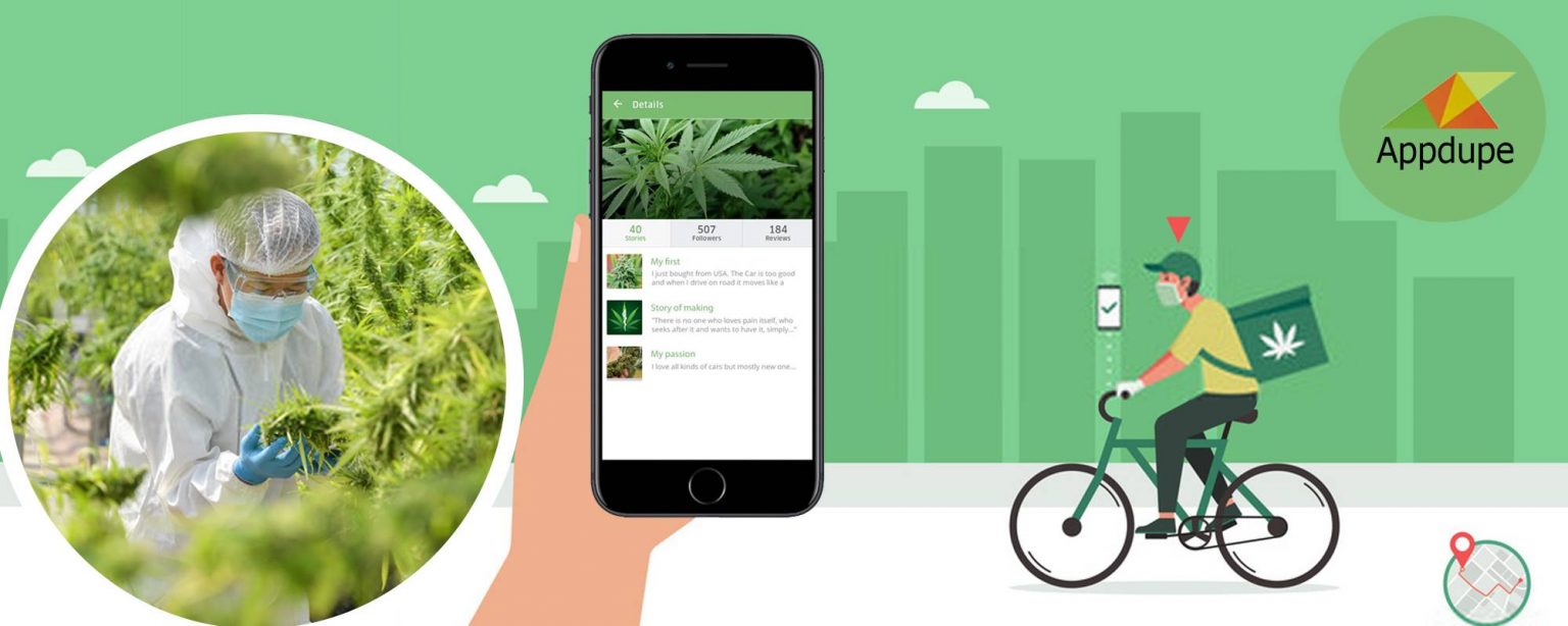 Uber for Marijuana | On-demand Cannabis app | Uber Like App For Marijuana